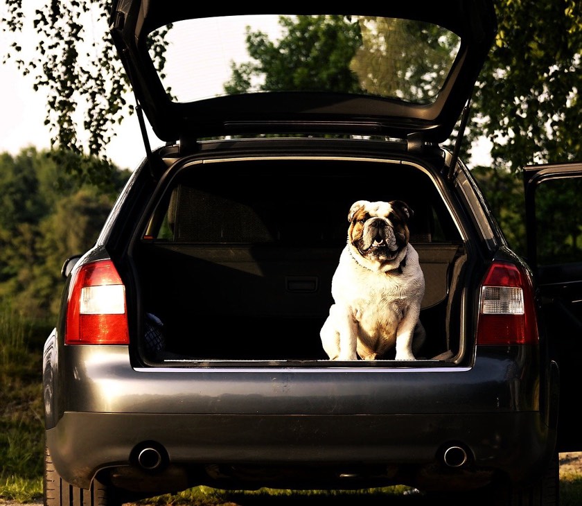 Guide to Common Car Terms - UK vs USA | Mr Tyre